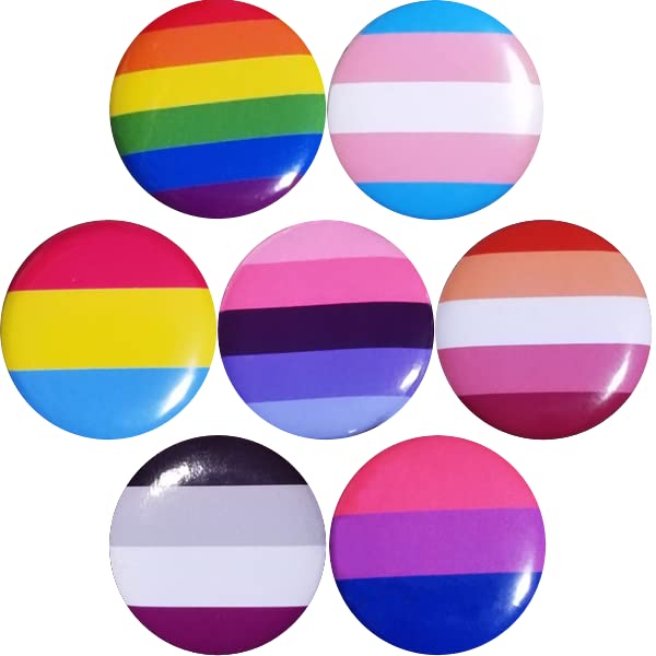 Amazon.com: LGBTQ Flag pin set: VARIETY PACK - small pinback buttons (1 ...