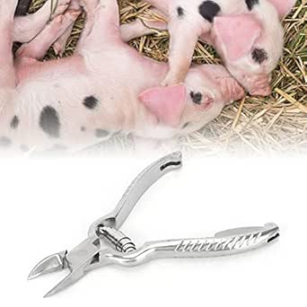 Ubersweet® Pig Tooth Nipper, Stainless Steel Pig Teeth Cutter for ...