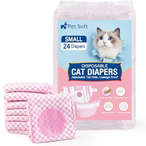Cat Diaper – The 15 best products compared - Wild Explained