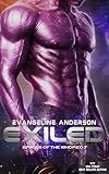【発売日：2012年11月21日】・製造元:Evangeline Anderson Books