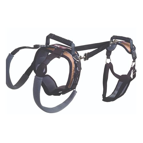 5 Best Dog Lift Harnesses and Slings for Mobility-Impaired Dogs in the ...