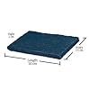Spotzero by Milton Scrub (10 x 7.5 x 1 cm, Blue) - Pack of 1 : Amazon ...