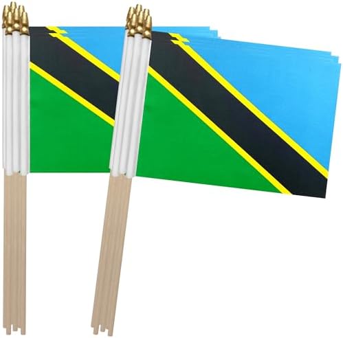Amazon.com : TSMD Guyana Stick Flag Guyanese Small Mini Hand Held Flags ...