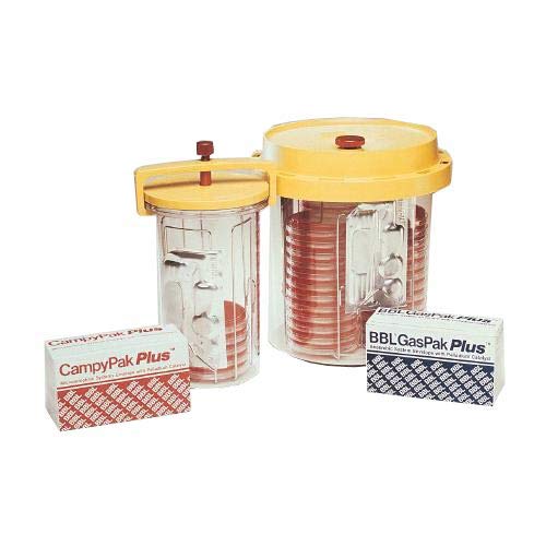 BD Diagnostic 260623 GasPak 100 Holding Jar Lid (Pack of 100): Amazon ...