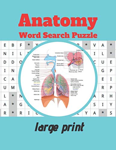 Anatomy Word Search puzzle: large print anatomy and physiology puzzle ...
