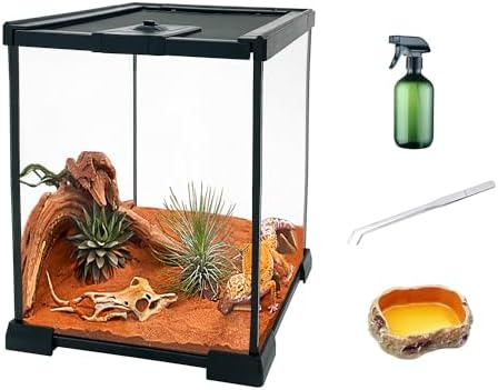 Reptile Glass Terrarium kit，8"x8"x12"Terrarium Enclosure Amphibians ...