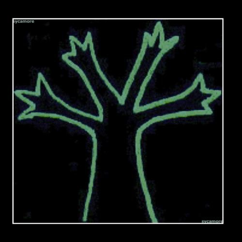Amazon.com: Sycamore: CDs & Vinyl