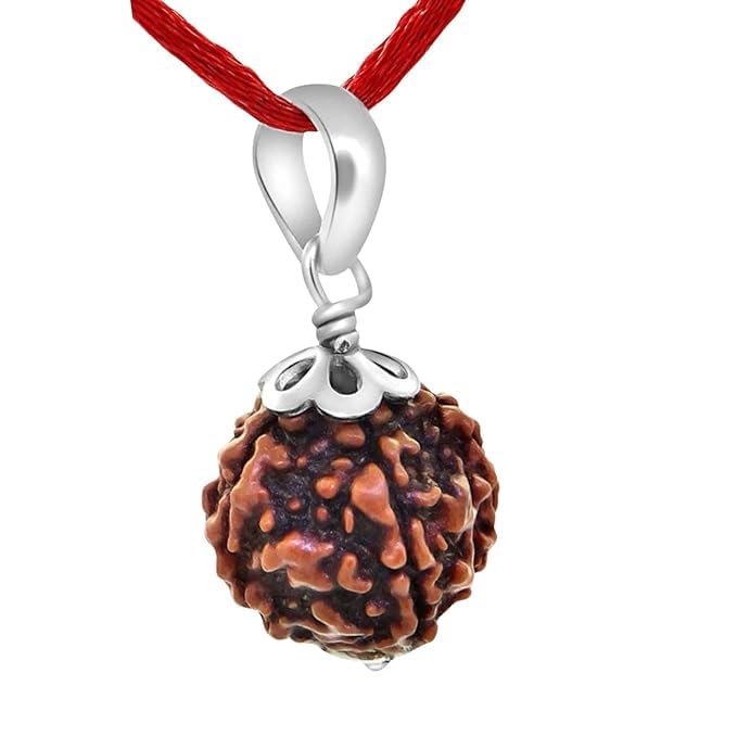 Buy ASTRO CARE INDIA One face 1 Mukhi Rudraksha Certified एक मुखी ...