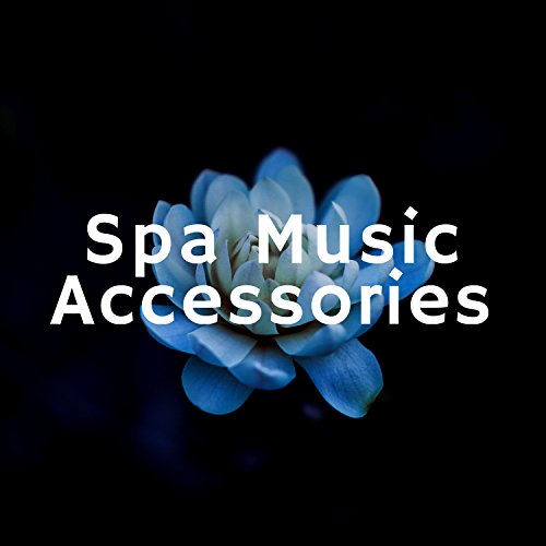 Play Spa Music Accessories - Music for Hot Tub, Sauna, Massage ...