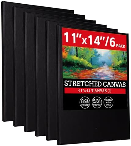 Amazon.com: idoobi Stretched Canvases for Painting 6 Pack 16x20 100% ...
