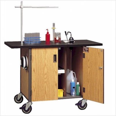 Amazon.com : Fleetwood 17.0840x Basic Mobile Science Lab Station with ...