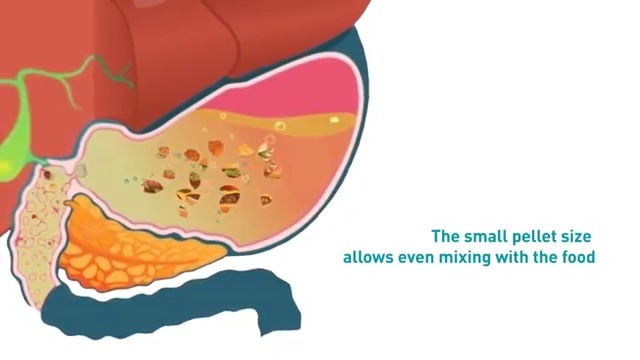 Watch Micrazym Pancreatic Enzymes Advanced Delivery System on Amazon Live