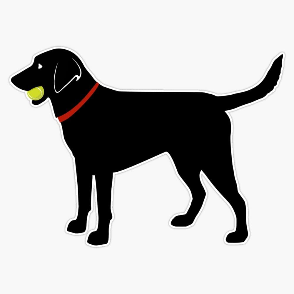 Amazon.com: This Vehicle Has Been Lab Tested Labrador Retriever Dog ...