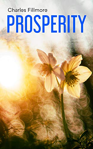 Prosperity: God Has Provided Prosperity for Every Home - Kindle edition ...