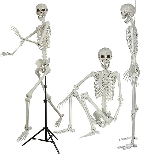 Amazon.com: AOFOX 5.4ft Halloween Skeleton, Life Size Full Body ...