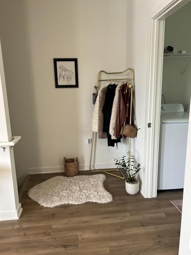 Amazon.com: HKaikzo Gold Metal Corner Coat Rack, Modern Clothing Rack ...
