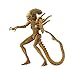 Amazon.com: Aliens Neca Sewer Mutation Warrior Alien (SDCC 2017 ...
