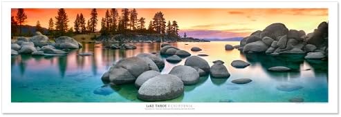 Amazon.com: Rain Forest (Green Trees, Panorama) Art Poster Print ...