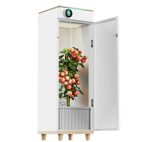 10 Best Grow Boxes | 2025