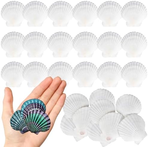 Amazon.com: MAQIHAN 25 PCS White Scallop Shells for Crafts - 2-3 Inch ...