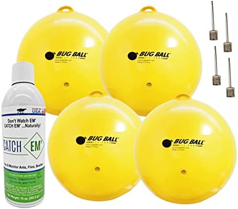 Amazon.com : Bug Ball Gnat Ball 4 Pack Starter Complete kit - Gnats ...