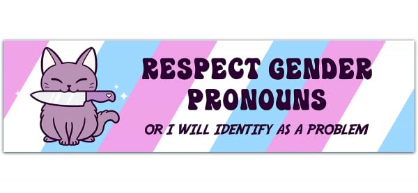 Respect Pronouns Vinyl Sticker, Trans, Gender Fluid & Non-Binary Pride ...