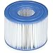 Amazon.com : Intex Type S1 Filter Cartridge for PureSpa, Twin Pack ...