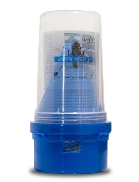 barrix Catch domo Traps & housefly (Pack of 4) : Amazon.in: Garden ...