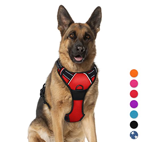 Get the Perfect Fit with Reddy Harness Size Chart: Top 10 Picks and ...