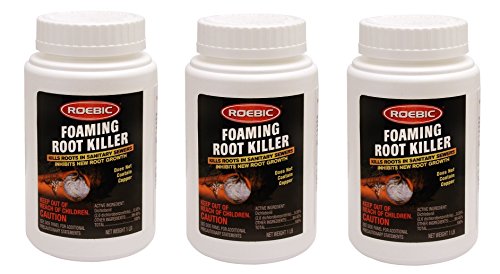 Amazon.com: Roebic FRK Foaming Root Killer, 1-Pound (3, 1 lb) : Health ...