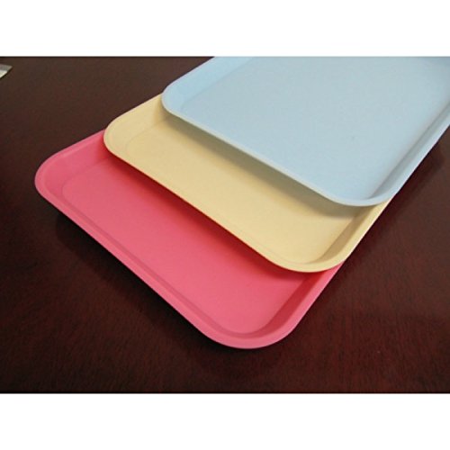 Amazon.com: 1 PC Blue Dental Instrument Tray Size B Trays 13.25" x 9.75 ...