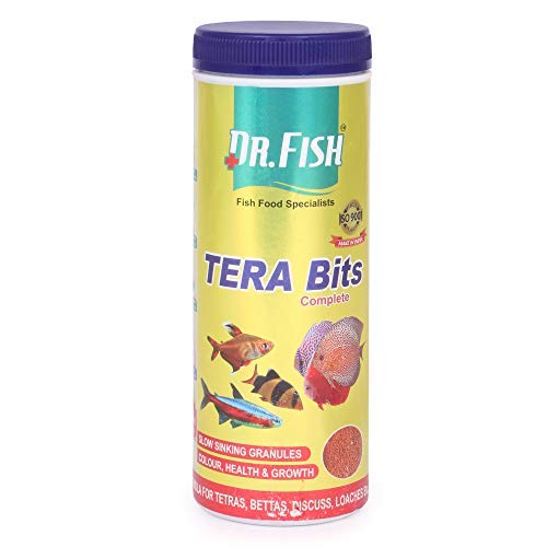 DR FISH Tera Bits Young, Adult Fish Granule Food (100g) : Amazon.in ...