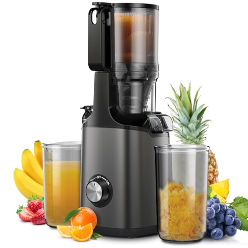 The 8 Best Juicer Machines Reviewed - The Proud Italian