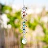 H&D Hyaline & Dora Sun Catchers for Windows,Crystal Sun Catcher with ...