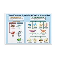 Vertebrates And Invertebrates Animal Classification Poster Reminisce: