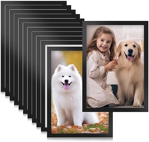 Amazon.com - OctBird 10Pcs 8.5 x 11 Picture Frame, Magnetic Sign Holder ...