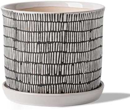 Amazon.com : Chubacoo 8 Inch Plant Pot : Ceramic Planter Pot with ...