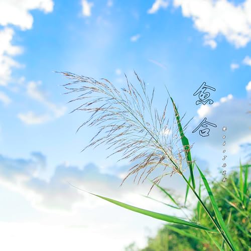 Amazon Music - MaksJ马克斯の愈合 - Amazon.co.jp