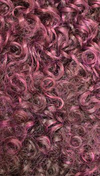 Amazon.com : Bobbi Boss Synthetic Weave A Wig - Bena-FFPLM/PUR : Beauty ...