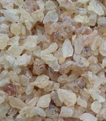 GUNDAR KANI - EDIBLE GUM - GONDH - GOND - 250G (PACK OF 2) : Amazon.in ...