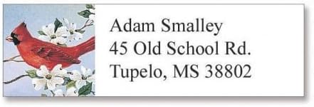 Amazon.com : Cardinal Small Return Address Labels - Set of 240 2" x 5/8 ...