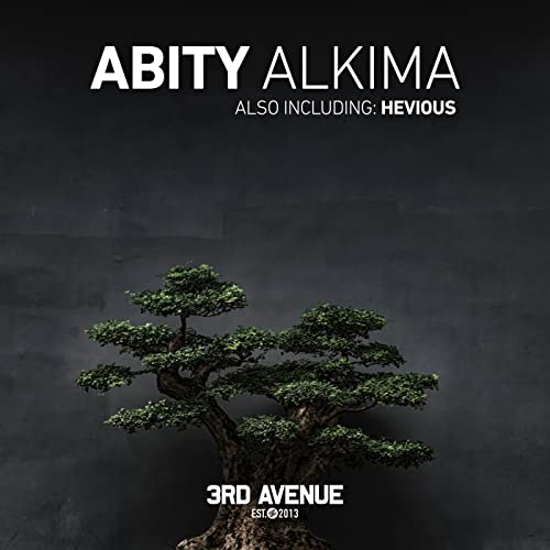 Amazon.co.jp: Alkima : Abity: Digital Music