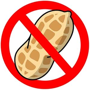 Amazon.com - No Peanuts Allowed Sign Color Vinyl Decal Sticker Bumper ...