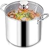 Amazon.com: LIANYU 12QT 18/10 Stainless Steel Stockpot with Lid, Large ...
