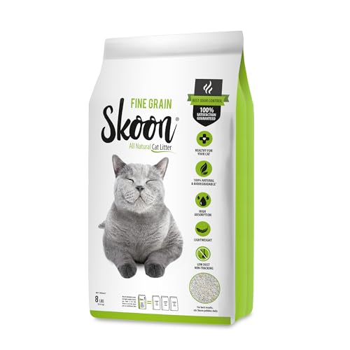 5 Skoon Cat Litters for Happy Cats and Clean Homes