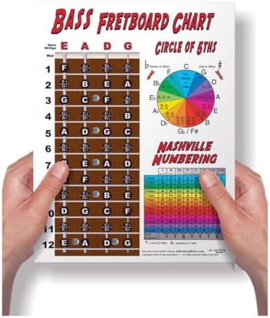 Amazon.com: QMG Upright Bass Fingering Chart with Color-Coded Notes ...