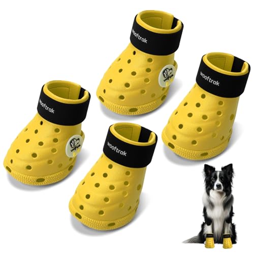 Dog Crocs – The 15 best products compared - Wild Explained