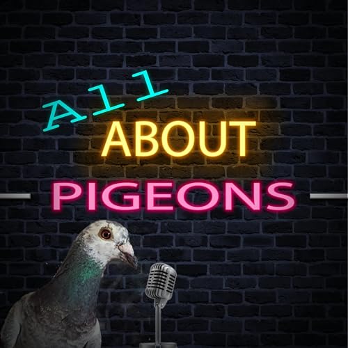 All About Pigeons : Phill And Chris : Amazon.co.uk: Audible Books ...