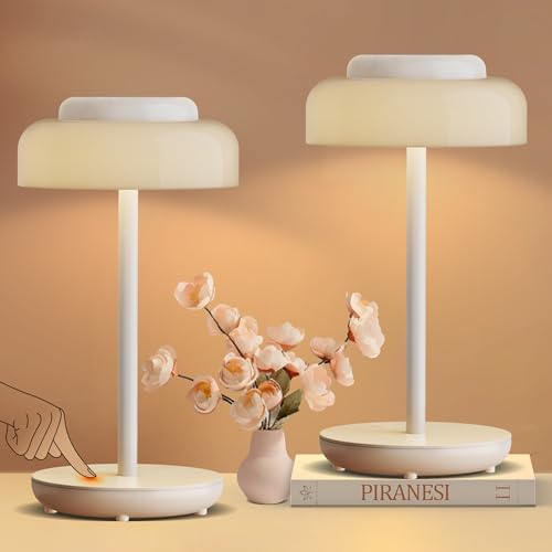 Clip on Lamp,5 Brightness+5 Color Clip on Light,400LM 36 LED Clip Light ...