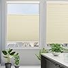 Amazon.com: MYshade Custom Size Cellular Shades Cordless, Blackout Top Down Bottom Up Honeycomb ...